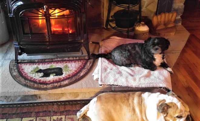 WINTER FRIENDS - Sweet Cabin Life