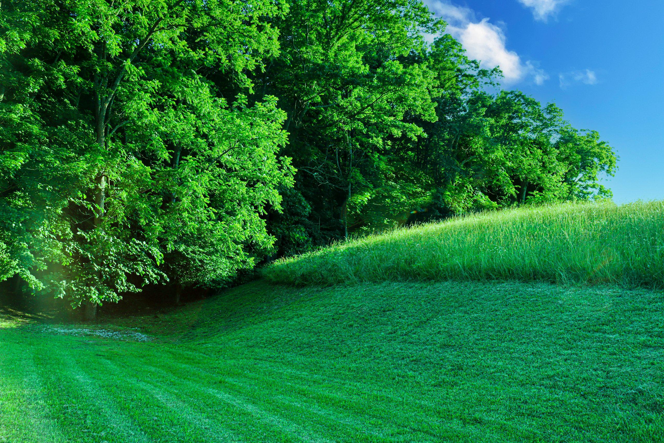 HIDDEN VALLEY - Sweet Cabin Life