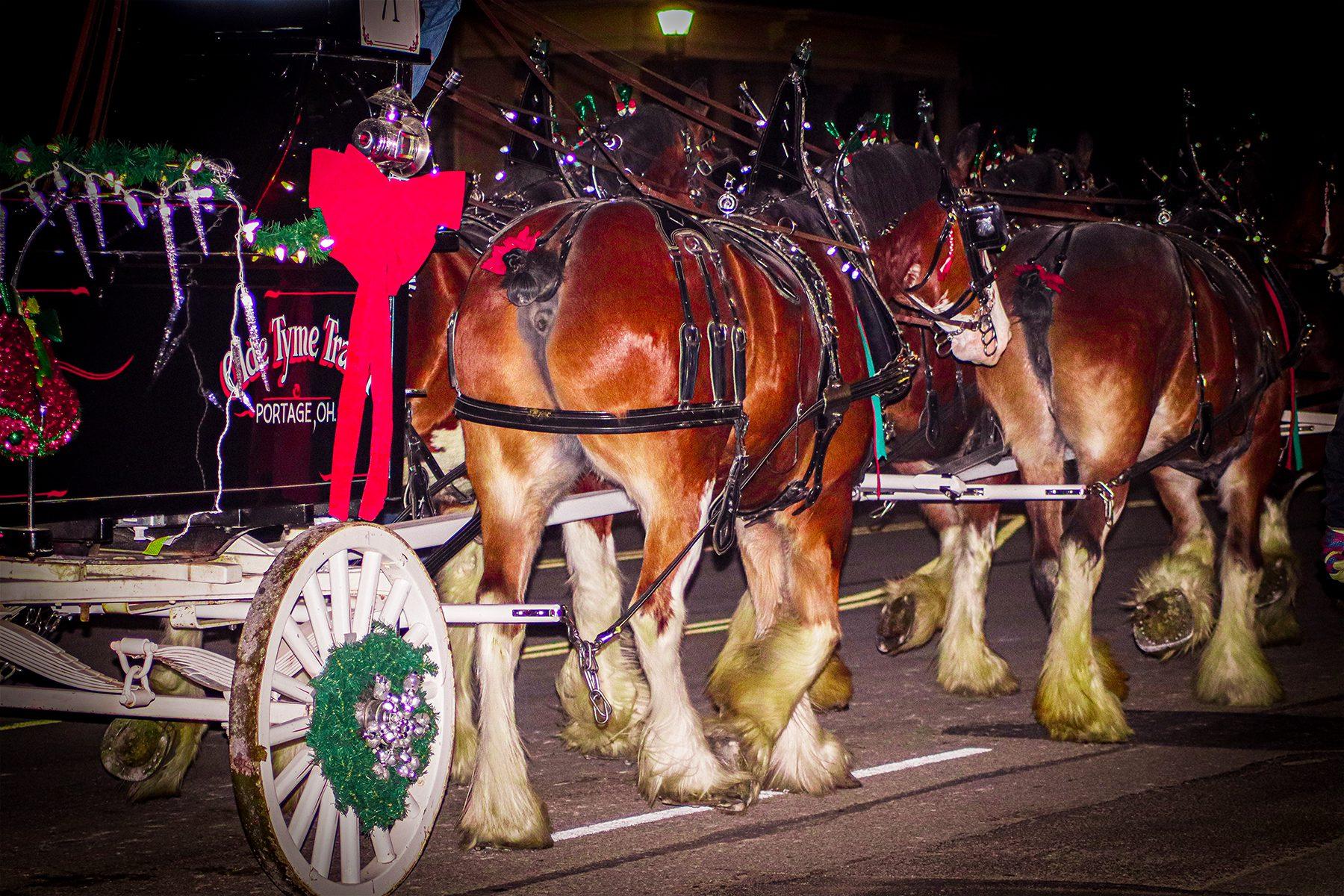 HORSE DRAWN CARRIAGE PARADE - Sweet Cabin Life